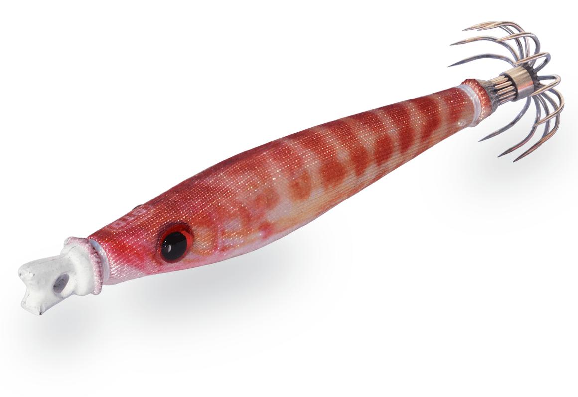 DTD Kanjac - Ribarska Priča